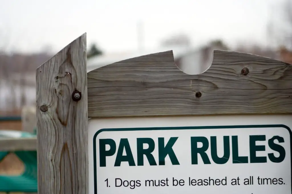 Top 6 Rules for Dog Park Etiquette | Assorted Animals