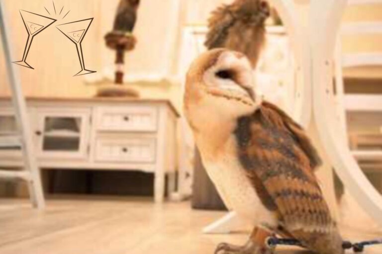 Owl Bar Opening: London's Nocturnal Sensation | Assorted Animals