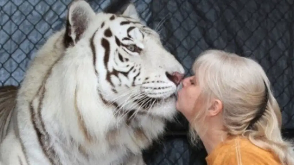 Meet the Woman with Two Tigers in her Backyard! | Assorted Animals